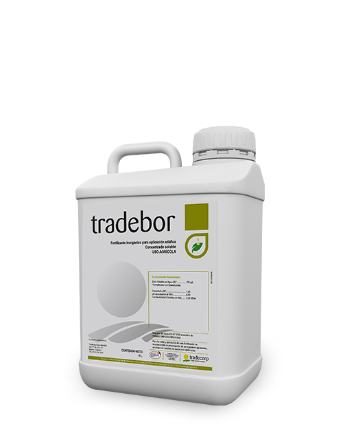 Estimulación de los procesos naturales de las plantas | Biosoluciones ...