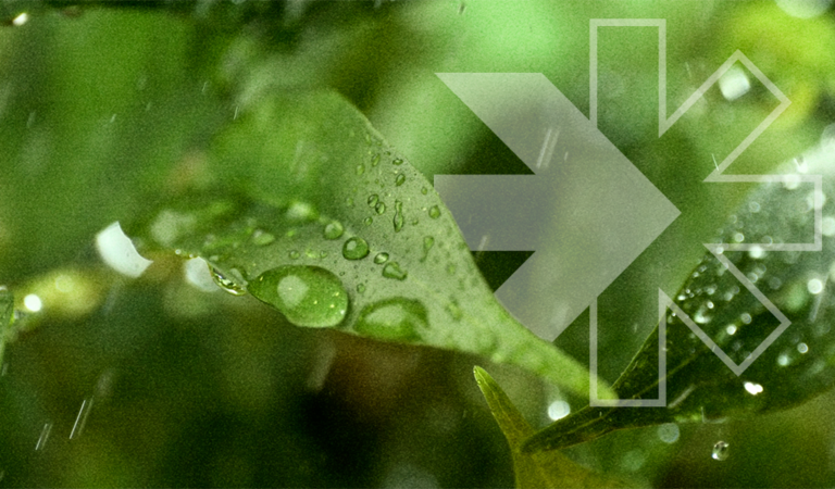Rovensa Next Latam | Pioneros en biosoluciones para una agricultura ...